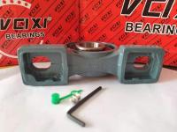 China P5 Precision UCP206 Pillow Block Bearing HT235 Cast Iron for sale