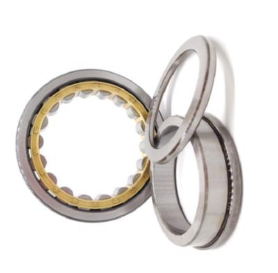 China ODM Double Radial Cylindrical Roller Bearing NU1019 95x145x24mm for sale