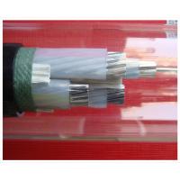 China Low Loss XLPE Insulated Power Cable 0.6 kV YJY LSOH Flame Retardant Energy Saving Solution for sale