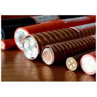 China Mineral Insulated Cable Copper Jacket 950C 3 Hours BTTZ 750V 4x10 mm2 Fire Resistant for sale