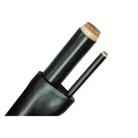 China Prefabricated Branch Cable 16-300mm² for Quick Installation and Reliable Power Distribution for sale