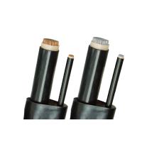China Prefabricated Branch Cable 16-300mm² for Quick Installation and Reliable Power Distribution for sale