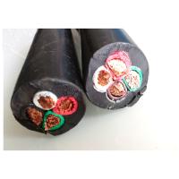 China Rubber Sheathed Cable 600V Water Resistant Irrigation Cable 4mm2 for sale