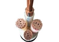 China Shenghua Power Cables: Your Reliable Partner for Global Electrical Distribution for sale