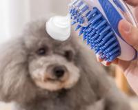 China 11*7.5*6CM Pet Wash Brush Plastic Dog Washing Brush Tool for sale