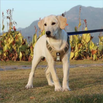 China Towing Pet Traction Rope Vest Large Dog Chest Strap Reflective Explosion Proof for sale