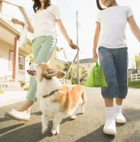China Customized Dog Poop Bag Eco Friendly Biodegradable Compostable Pet Garbage Bag for sale