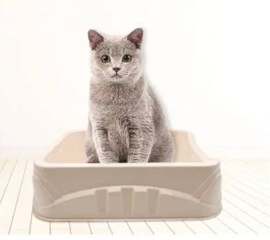 China Eco Friendly Cat Litter Box Biodegradable Molded Paper Disposable Self Cleaning Cat Box for sale