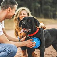 China Costom Slow Feeder Dog Bowl Tpe Rubber Dog Bowl Travel Drink Feeder for sale