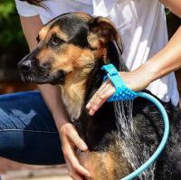 China Sustainable Dog Shower Sprayer Head OEM Handheld Pet Shower for sale