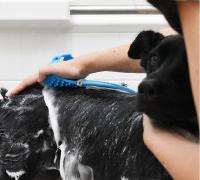 China OEM Pet Grooming Tool Set Sustainable Pet Bathing Tool for sale
