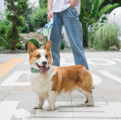 China Retractable Pet Traction Rope Leash Stretch 3M Dog Leash For Walking for sale