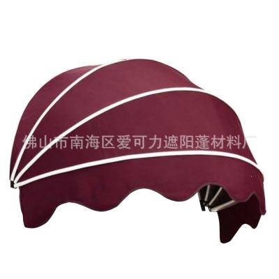 China Aluminum High Quality Retractable Watermelon  Awning  Shape Window And Door Decorative Awning for sale