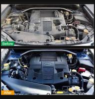 China Protect Shine Car Body Cleaner 260ml Car Engine Cleaner Spray Eco friendly for sale