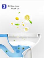 China Lemon Lavender smell Toilet Foam Cleaner / Toilet Cleaning Foam Spray for sale