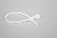 China DM-3*150mm Cheap price nylon 66 UL 94V-2 Mount Head Screw/Nail Mount Hole Cable Zip Wire Tie White 100 Pcs for sale