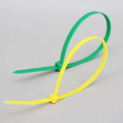 China DEMOELE 3*200mm 8'' Inch Famous hot sell Nylon Self Locking Cable Ties for sale
