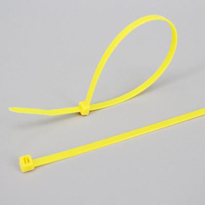 China 3*100mm DEMOELE ROHS SGS certificated Self-Locking nylon cable ties for sale
