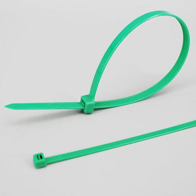 China DM-2.5*150mm DEMOELE XGS-2.5x150mm Exporting Nylon cable ties manufacturer with ROHS CE certificate for sale