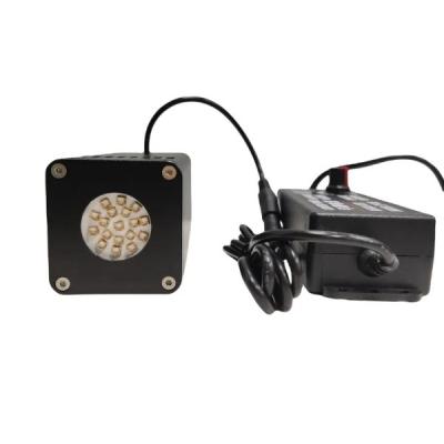China 50W UV Portable Adapter Power Flashlight Lamp for Custom Car paint UV Printer ink for sale