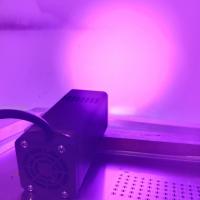 China Portable handheld 50W UV Led Curing ultraviolet light 365nm uv flashlight for Car Paint for sale