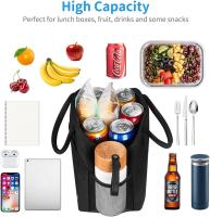 China Insulated Lunch Bag 10.6x6.3x8.7in Leakproof Thermal Cooler Tote for Women Men for sale