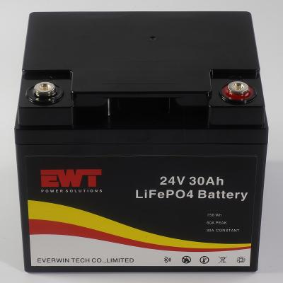 China Lithium Iron Phosphate 24V LiFePO4 Battery Superior Power for Any Climate and Temperature for sale