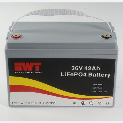 China 36v 42Ah Lithium Ion Battery 2000cycles Light Weight Lifepo4 36v 42ah Battery Pack With BMS for sale