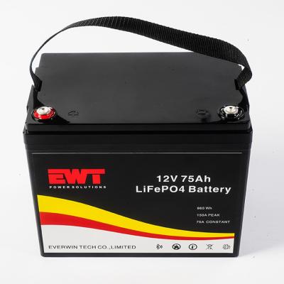 China Boat Lithium Iron Phosphate Battery Pack 12V 100Ah for Rechargeable Plug-in Hybrid Electric for sale