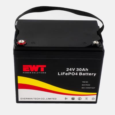China Long-lasting LFP 24V Battery with High Energy Density and 2000 Cycles Cycle Life for sale