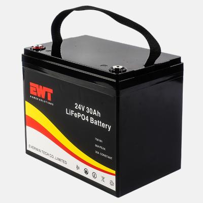 China Environmentally Friendly 24V Lithium Iron Phosphate Battery with Affordable Cost and High Energy Density for sale