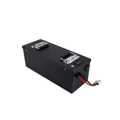 China Compact Design 48V Lithium Iron Phosphate Battery with Fast Charging and High Capacity for sale