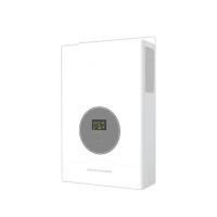 China 110/200V Lifepo4 Energy Storage Battery Split Phase Solar Power Frequency Inverter Chargeable for Energy Storage for sale