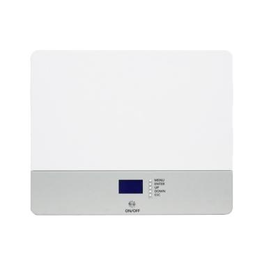 China Power Storage Wall-mounted Lithium Battery 51.2V100AH for Home Solar Energy Storage for sale