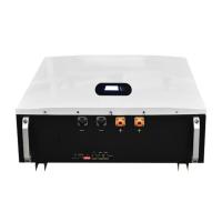 China Chargeable Smart Wall-Mounted Home Energy Storage Battery with LFP Anode Material for sale