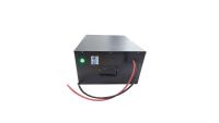 China Long-lasting 48V Lithium Iron Phosphate Battery for High Energy Storage Capacity and Quick Discharging Rate for sale