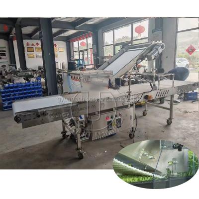 China Multi Automated Tray Harvesting Machine Microgreens Harvester for Baby Leaf Lettuces for sale