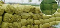 China 80-120 Bales Capacity Baling Press Machie The Best Solution for Wood Shavings Bedding for sale