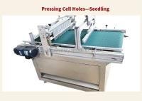 China 8 Rows Vegetable Seed Planter with Discount Cabbage Seed Sower Nursery Sowing Machine for sale