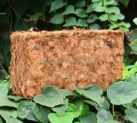 China 650g Cocopeat Block Press Machine with Customized Coir Pitch Hydraulic Block Compress for sale