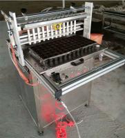 China Multifunctional Tray Seeder The Ultimate Tool for Planting Vegetable and Pumpkin Seeds for sale