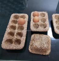 China 2.8m*1.7m*1.8m Waste Carton Wine Glass Holder Tray Machine for Durable Paper Products for sale