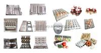 China 2024 Full Automatic Paper Pulp Moulding Machine for Egg Tray Fruit Plate and Dish Making for sale