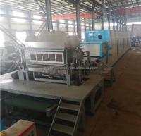 China 2024 Full Automatic Paper Pulp Moulding Machine for Egg Tray Fruit Plate and Dish Making for sale
