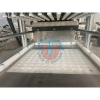 China Customizable Jaggery Cube Sugar Press Wrapping Production Line Machine for Production for sale