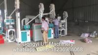 China Commercial Rice Mill Machinery for 50tpd Rice Milling Processing Raw Material Rice for sale