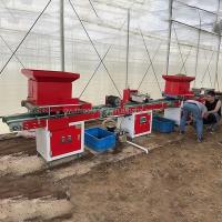 China 200 KG Full Automatic Seedling Machine for Lettuce Seeds Tray Key words Nursery Making for sale