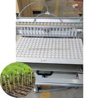 China 200 Holes Agriculture Seed Planting Machine Rice Seeder Seeding Machine with Materials for sale