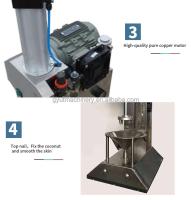China Restaurant Coconut Peeling Machine for Malaysia Market at Affordable for sale
