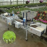China 2024 Microgreens Seeder and Top Coater for Cabbage Onion Garden Seed Seeding Machine for sale